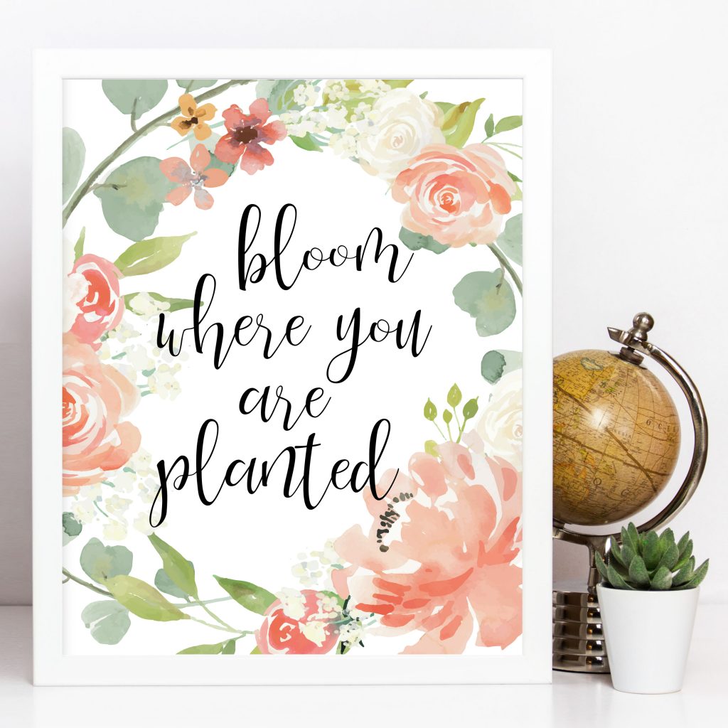 Bloom Where You Are Planted Print – Southbound Market