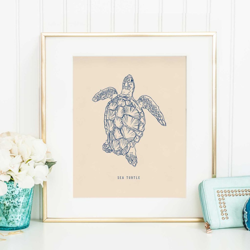 Vintage Sea Turtle Art Print – Southbound Market