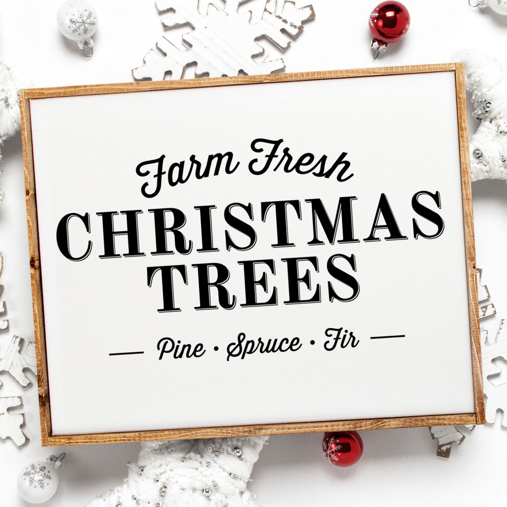 Farm Fresh Christmas Trees Art Print – Southbound Market